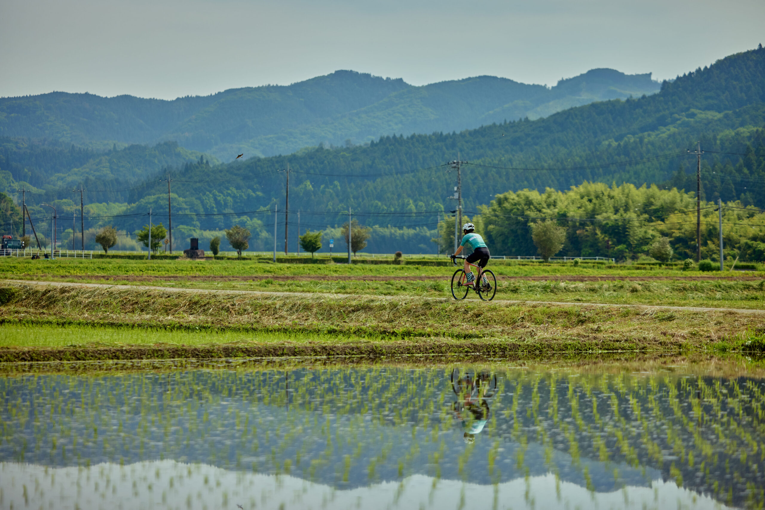 Nasu Nature Tour: 3-Day Hiking & E-Bike Itinerary